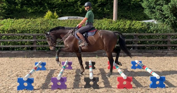 Distance Between Trot Poles